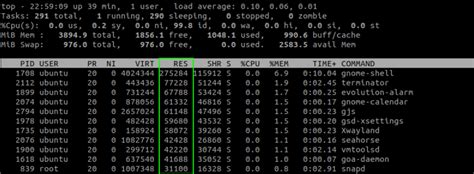 how to make top command sort by memory usage linux hint sound wrx
