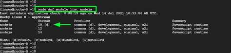 install node js on rocky linux 8 linuxways