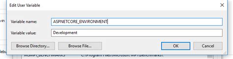 c asp core 2 1 aspnetcore environment value not