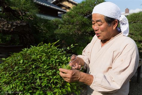 盆栽職人の横顔 profile of a bonsai craftsman fuuryuu 風流 写真作家 二見匡彦