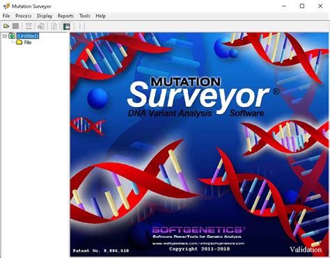 Softgenetics Mutation Surveyor 5 1 2 – Downloadly