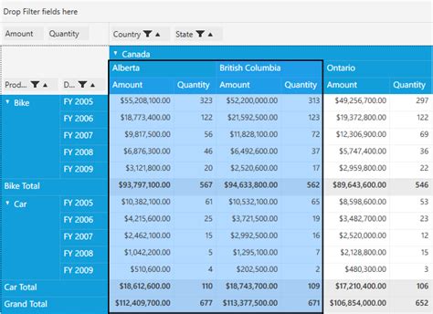 cell selection in wpf pivot grid control syncfusion