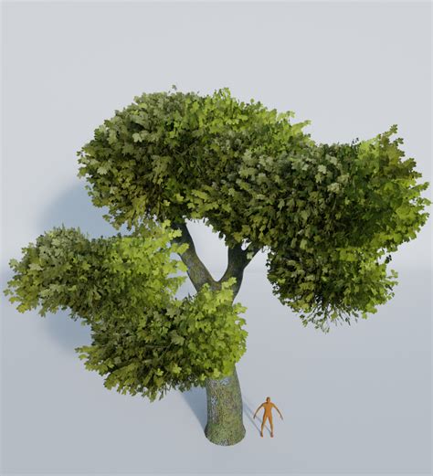 playing around with the modular tree add on for blender blender