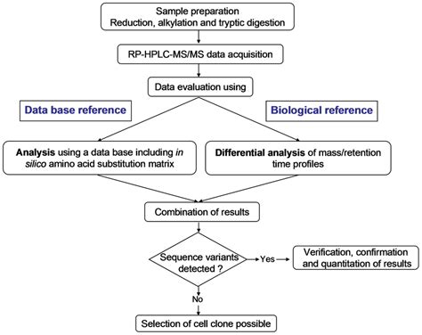 workflow of sequence variant analysis of recombinant monoclonal