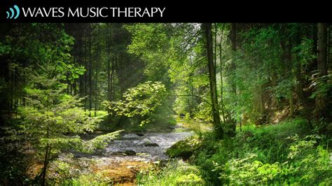 Nature Sounds Forest Stream And Birds Singing For Peaceful Relaxation