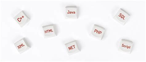 web programming language basics explained