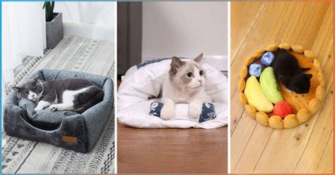 Purr Fectly Cozy Our Top 10 Picks For The Best Cat Beds