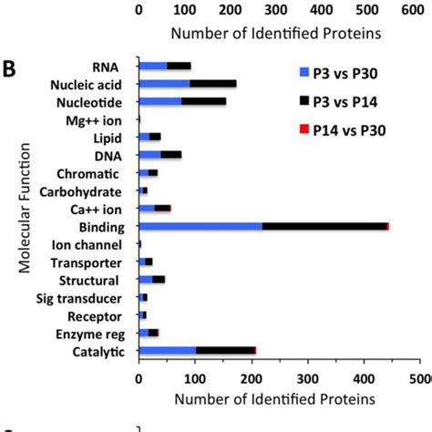 Total Proteome And Differentially Expressed Proteins In Each Age Group