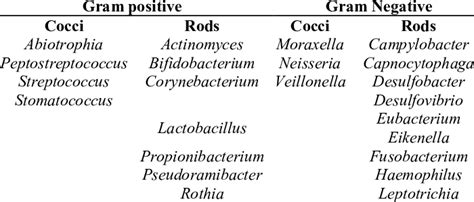 Classification Of Bacteria Based On Grams Staining Download
