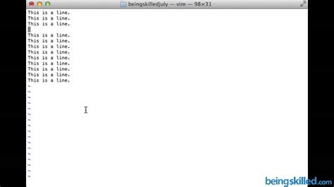vi vim how to delete and undelete lines in vi editor youtube