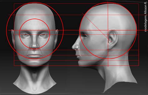 Desenhando Com Lápis Aprender A Desenhar As Proporções Do Rosto Humano