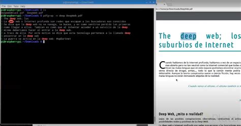 buscar palabras de un archivo pdf en la terminal gnu linux
