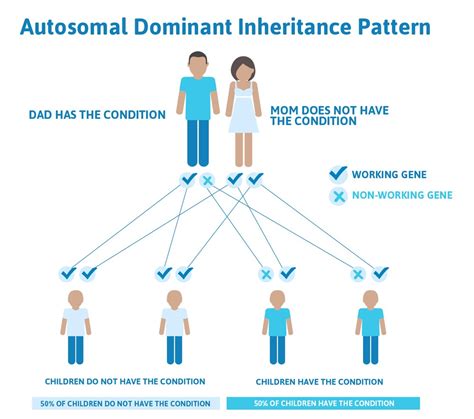 Genetics 101 • Genetic Support Foundation
