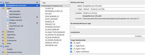 error in application initialization [firebase core][i cor000003] the