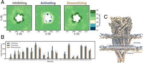 Differential Interactions Of Resting Activated And Desensitized