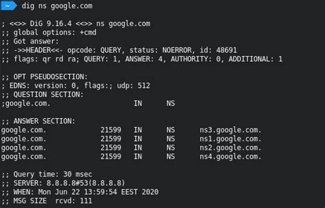 how to check if domain nameservers are pointed correctly