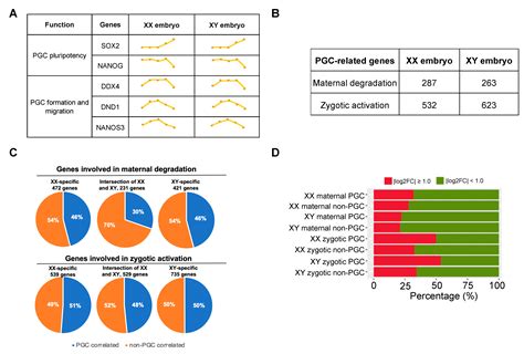 Biology Free Full Text Sexually Dimorphic Gene Expression In X And