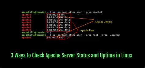 3 ways to check apache server status and uptime in linux linux