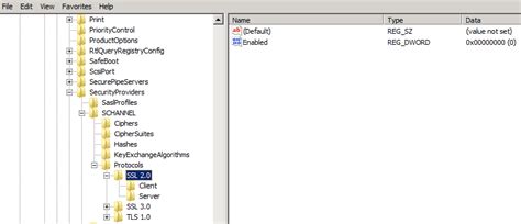 disable ssl 2 0 iis 7 windows 2008 64bit with crm 2011 for