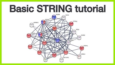 basic string tutorial protein query network views query parameters