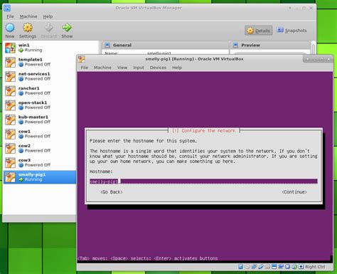 ubuntu server in virtualbox low orbit flux