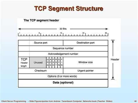 Ppt The Tcp Ip Reference Model Powerpoint Presentation Free Download