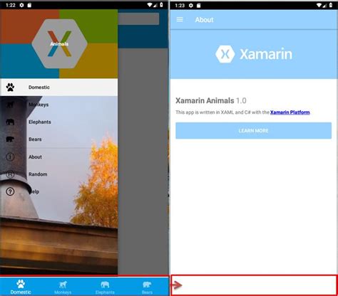 xamarinforms how to place image inside grid in xamarin forms images
