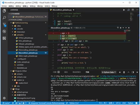 如何用vscode愉快的写python pleiades 博客园