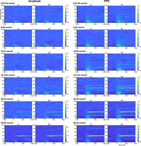 Frontiers The 40 Hz Auditory Steady State Response Enhanced By Beta