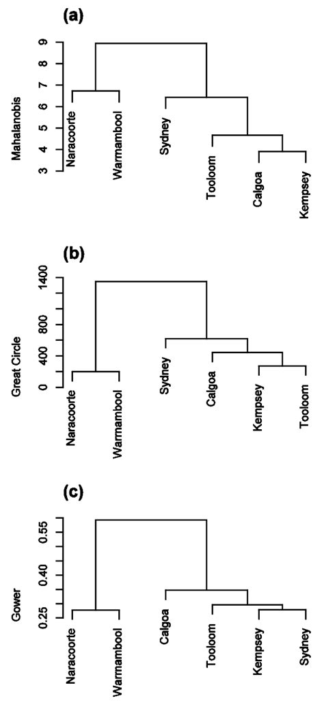 dendrograms for a morphological differences between samples using the