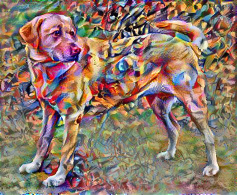 神经风格迁移 tensorflow core