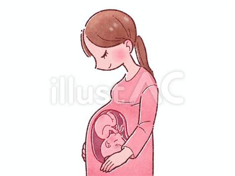 妊娠後期の妊婦さんと赤ちゃんイラスト No 22475180｜無料イラスト・フリー素材なら「イラストac」
