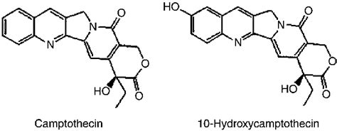 Structures Of Camptothecin And 10 Hydroxycamptothecin Download