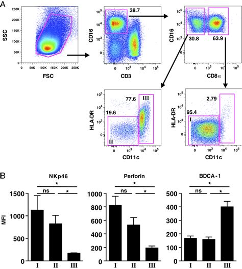 Potential Confusion Of Contaminating Cd16 Myeloid Dcs With Anergic