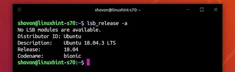 how to install and use hyper terminal on ubuntu 18 04 lts linux hint