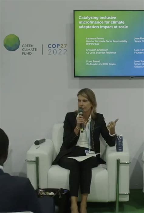 Cop 27 Just Institute Launching And Outcomes On Adaptation Finance