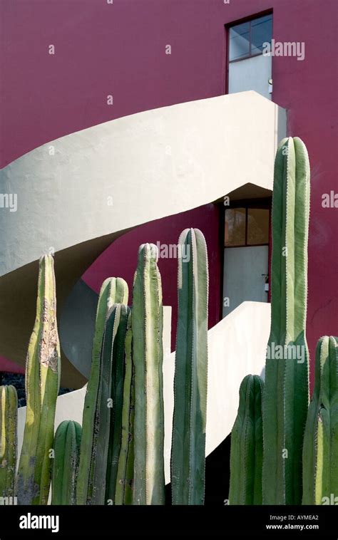 Frida Kahlo Museo Museo Frida Kahlo Banque De Photographies Et Dimages