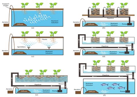Hydroponics Or Hydroponic Cultivation [concept Characteristics And