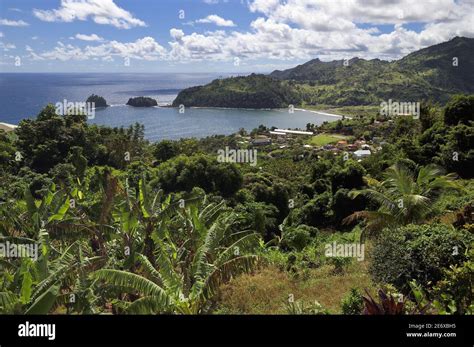 Caribbean Dominica Island Castle Bruce The Old Plantation Turned