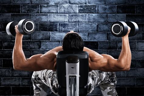 Incline Dumbbell Curl Bicep Benefits Fitness Tips Now