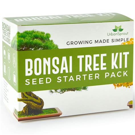 Buy Urban Sprout Bonsai Kit Grow Your Own Bonsai Trees From Seed