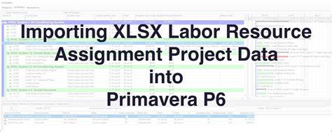 importing xlsx labor resource assignment project data into p6