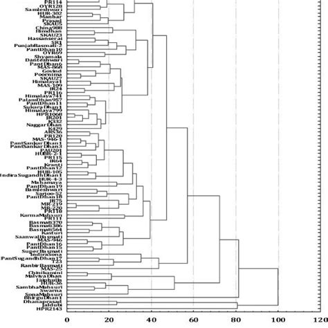 Unweighted Pair Group Average Dendrogram Of 88 Rice Genotypes Based On