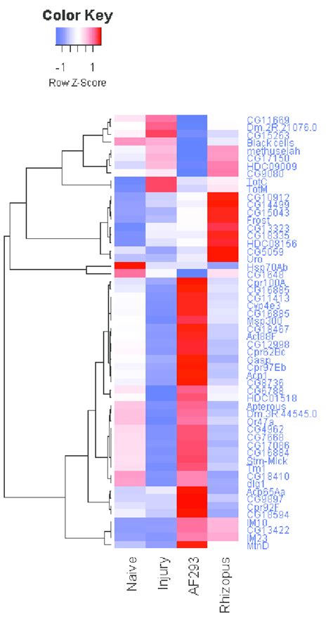 fig s4 hierarchical cluster analysis of the 54