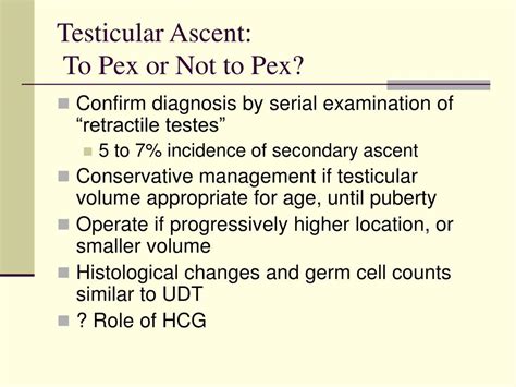 Ppt Testicular Descent And Ascent A Matter Of Timing Powerpoint