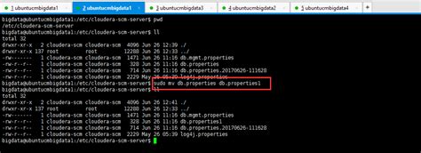 clouder manager安装时出现please remove the following file etc cloudera scm