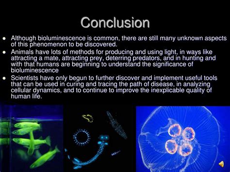 Ppt Bioluminescence Powerpoint Presentation Free Download Id 2963560