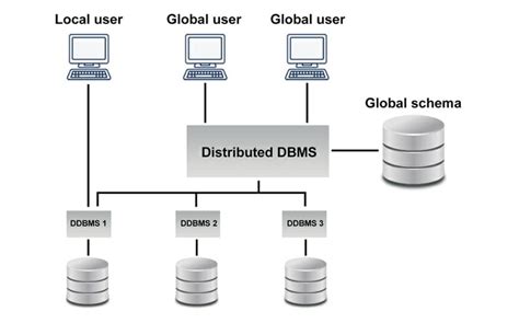 what are the different types of databases founderjar