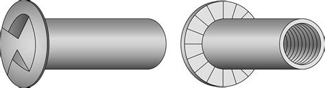 34 different types of screws and their uses the ultimate guide homenish