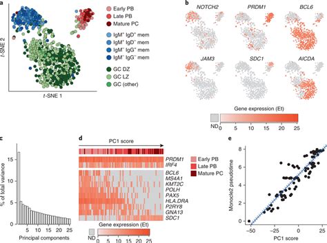 Single B Cell Bcr Sequencing